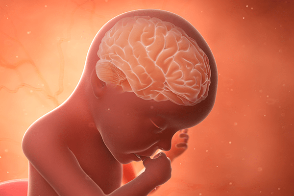 Pós-Graduação em Neurossonografia - FGMED